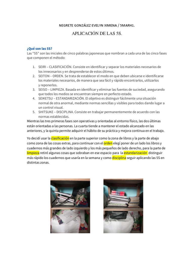 APLICACIÓN DE LAS 5’S | PDF
