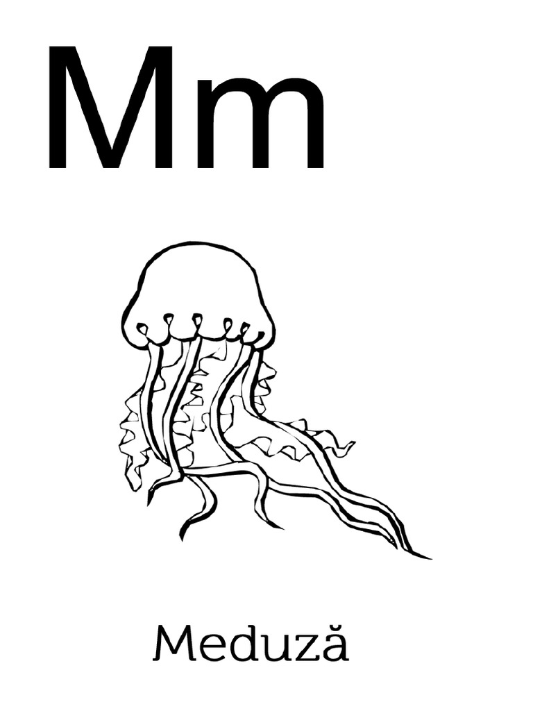 Planse Animale Litera M | PDF