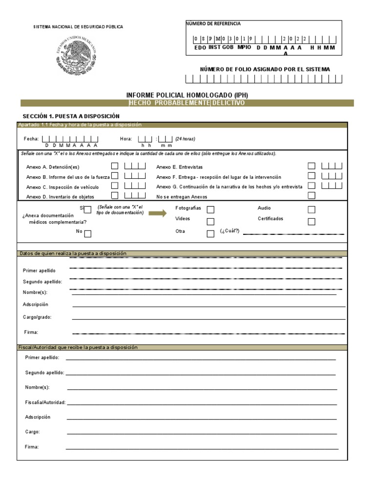 Iph Actual 2021 | Descargar gratis PDF | Queja | Gobierno