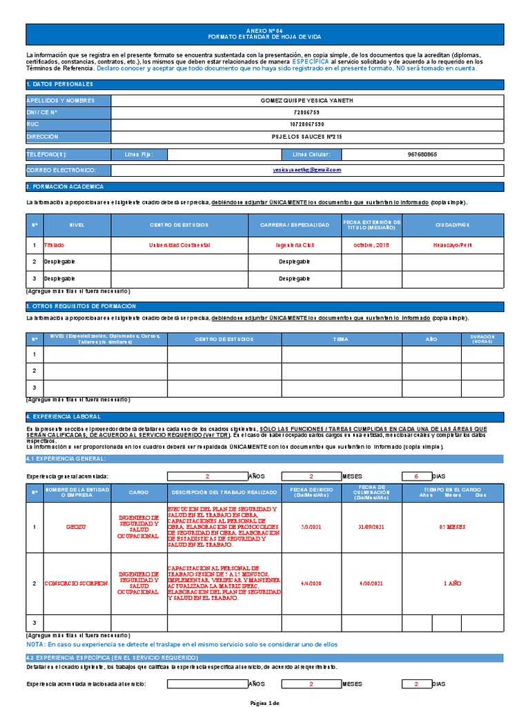 Anexo 4 (Formato Estándar Hoja de Vida) | PDF