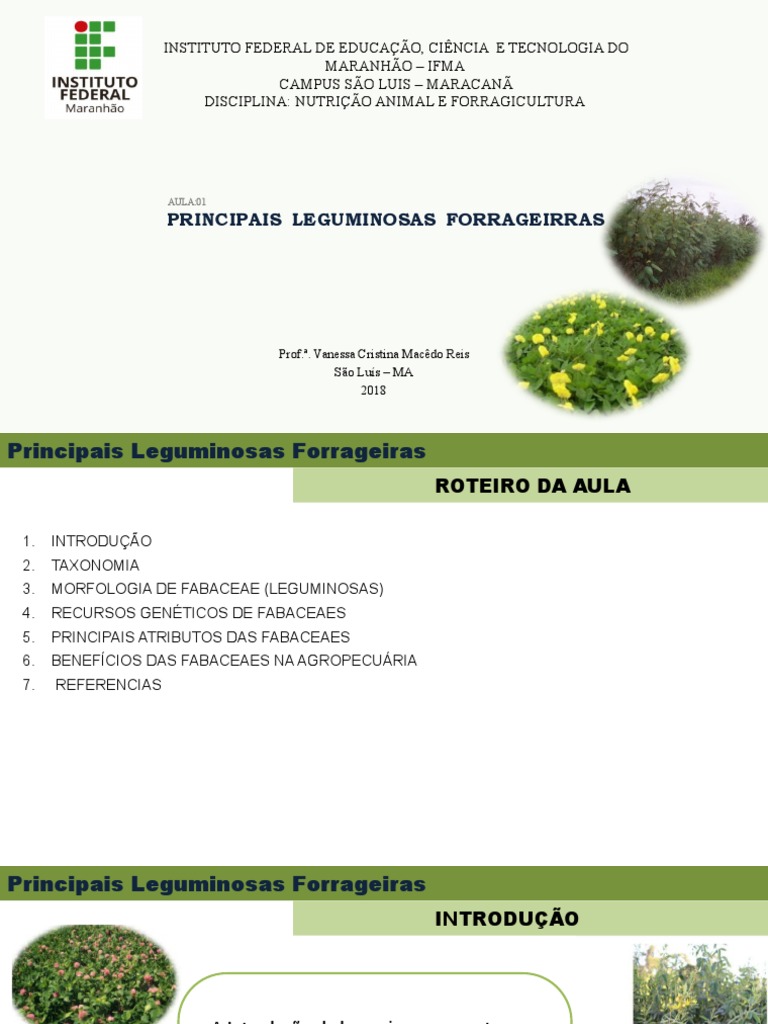 Principais Leguminosas Forrageiras: Características Morfológicas e ...
