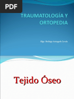 Clasificacion de Defectos Óseos 1 | PDF