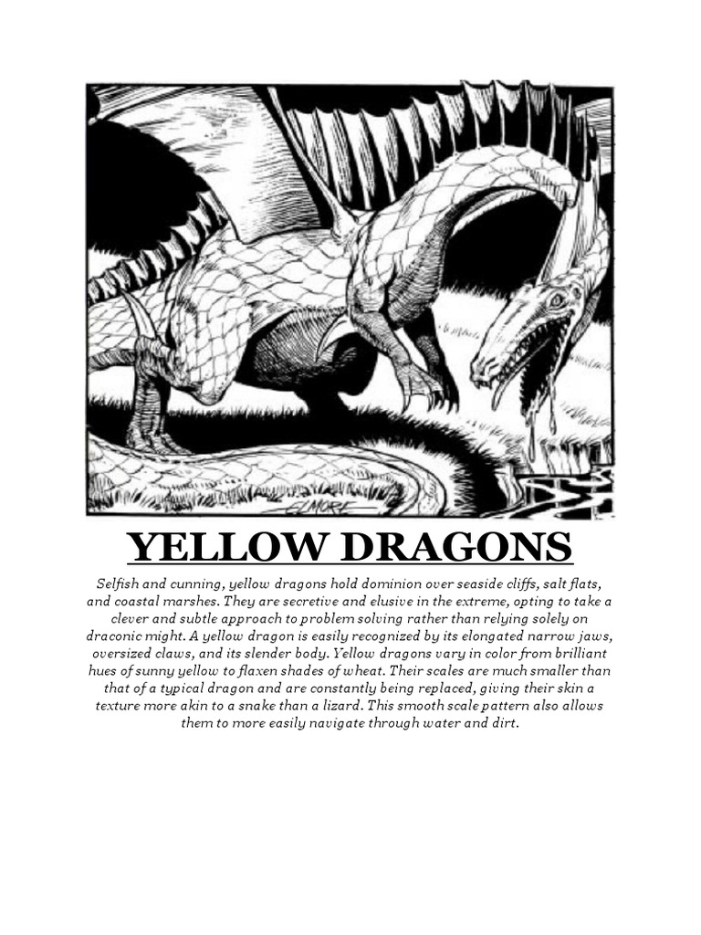 Yellow Dragons | PDF | Dragon