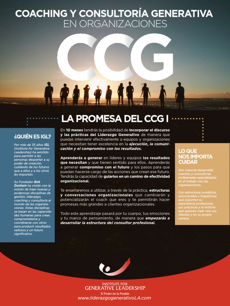 Coaching y consultoría generativa: Un programa para desarrollar observadores, actores y ...