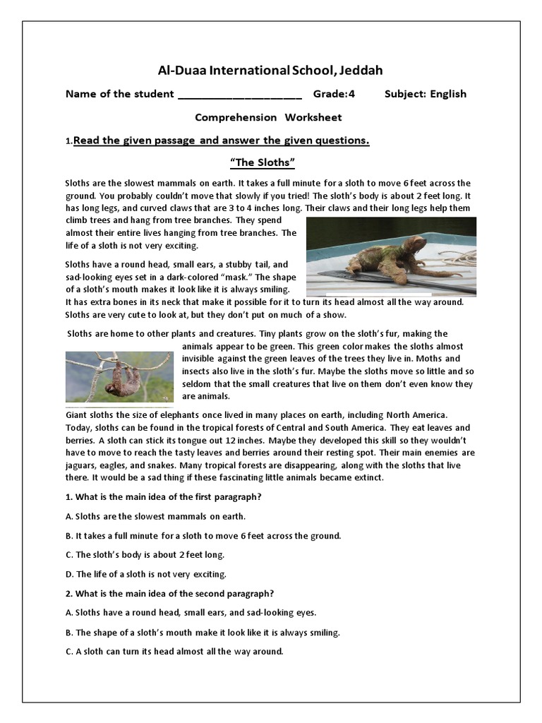 Comprehension G4 Sloths | PDF | Mammals | Organisms