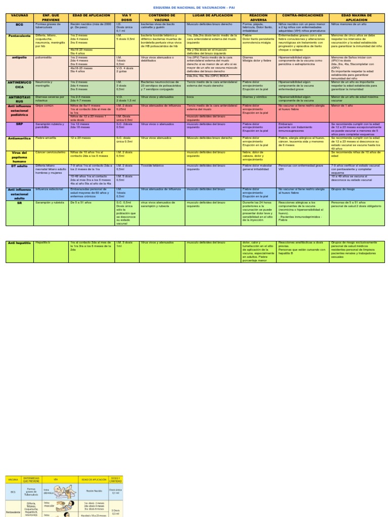Esquema Nacional De Vacunacion Pdf Vacunas Influenza