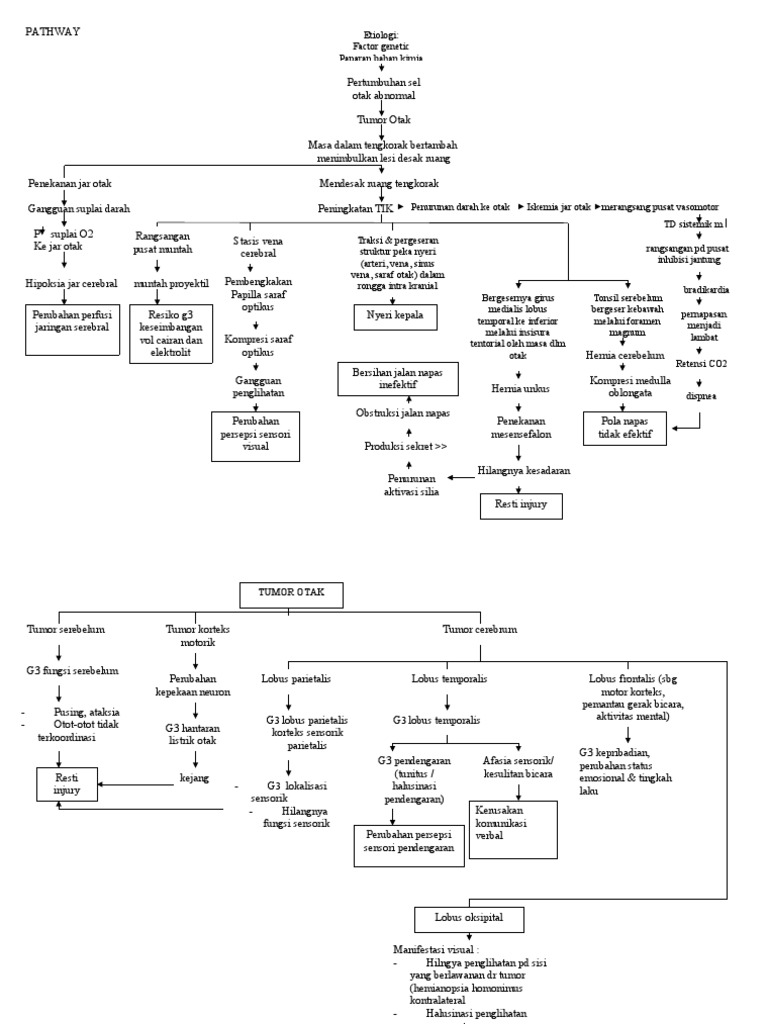Pathway SOL FIX | PDF