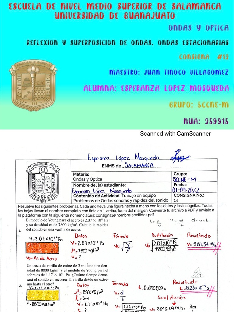 Consigna 12 Esperanza López Mosqueda | PDF