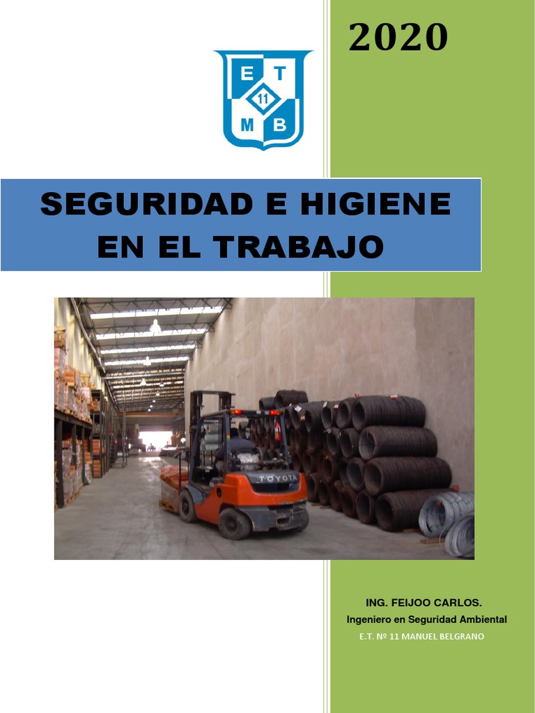 Libro de Seguridad e Higiene en El Trabajo | PDF | Seguro | Valores