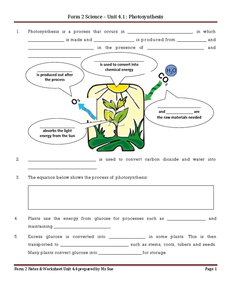 f2 Worksheet 4.4 | PDF | Photosynthesis | Plants