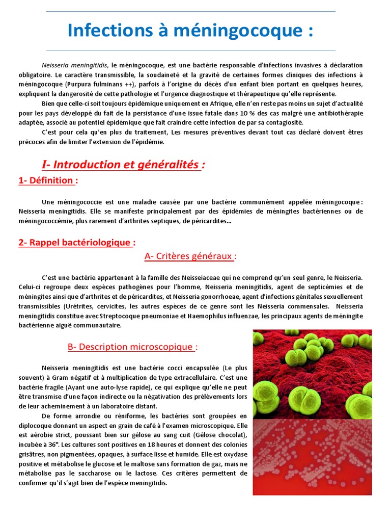 Infections À Méningocoque-Converti | PDF | Méningite | Système du ...
