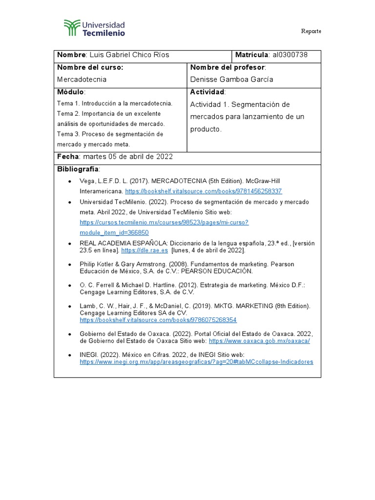 Actividad 1 Segmentación De Mercados Pdf Marketing Mercado Economía