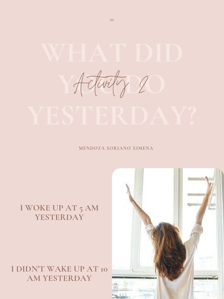 Daily Activities Report: Yesterday's Summary | PDF