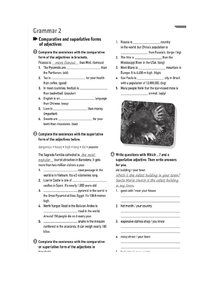 Workbook - Comparatives & Superlatives | PDF