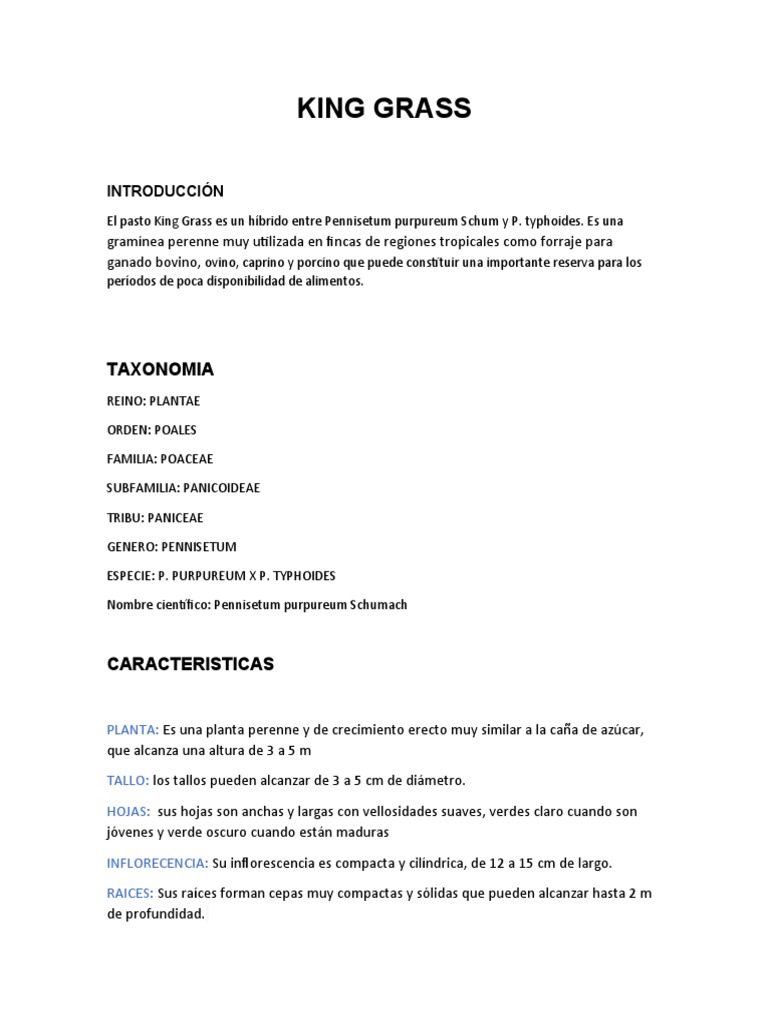 King Grass: Características y Cultivo | PDF | Plantas | Agricultura
