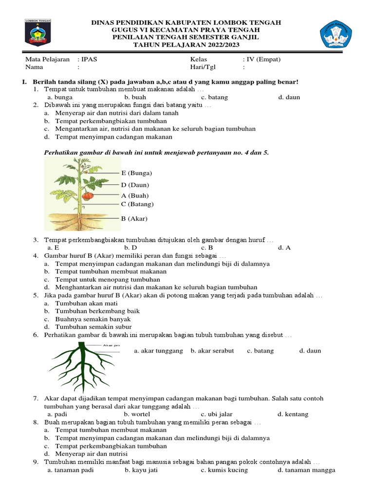 Soal IPAS Kelas 4 Semester 1 | PDF