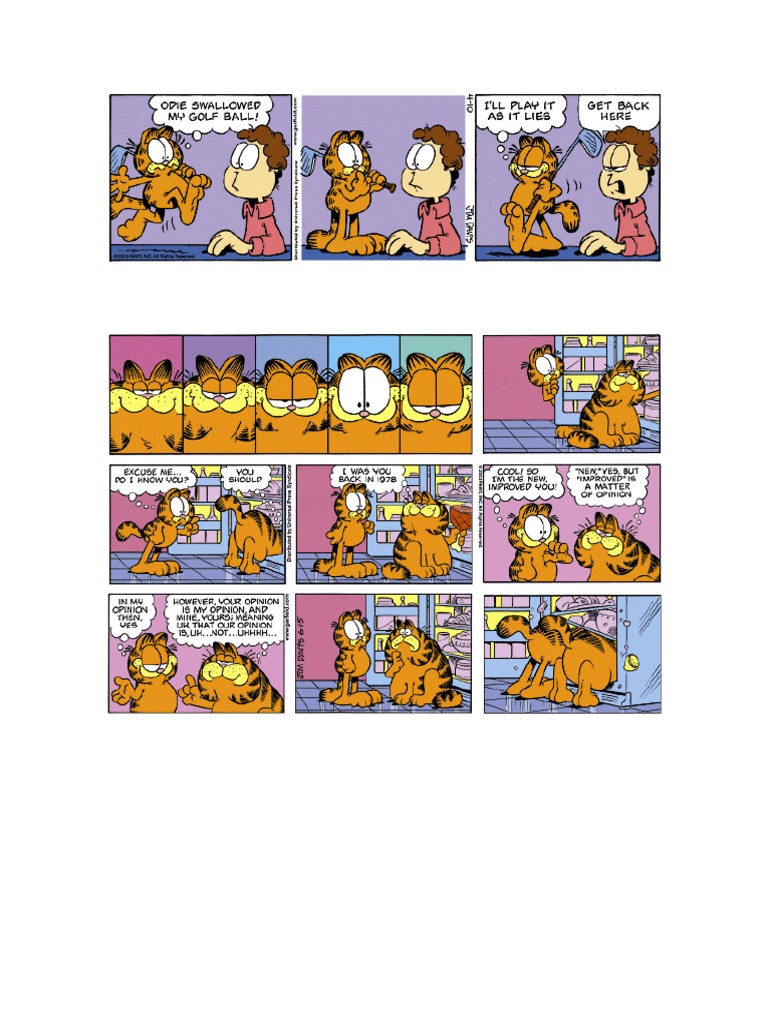 Garfield Pronouns | PDF
