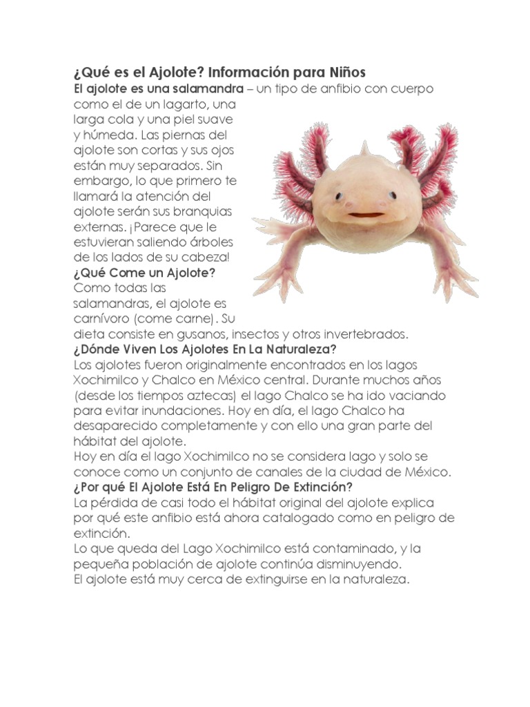 Qué Es El Ajolote | PDF