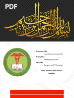 Anatomy of Appendix and Colon Explained | PDF | Large Intestine | Anatomy