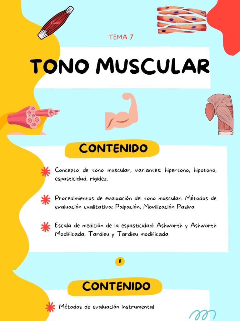 Tono Muscular | PDF | Músculo esquelético | Contracción muscular