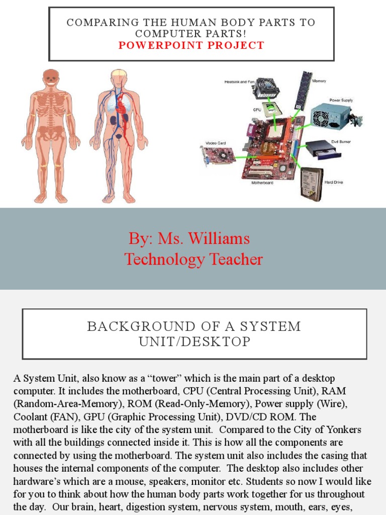 Computer Parts vs. Human Body Parts | PDF | Input/Output | Human Body
