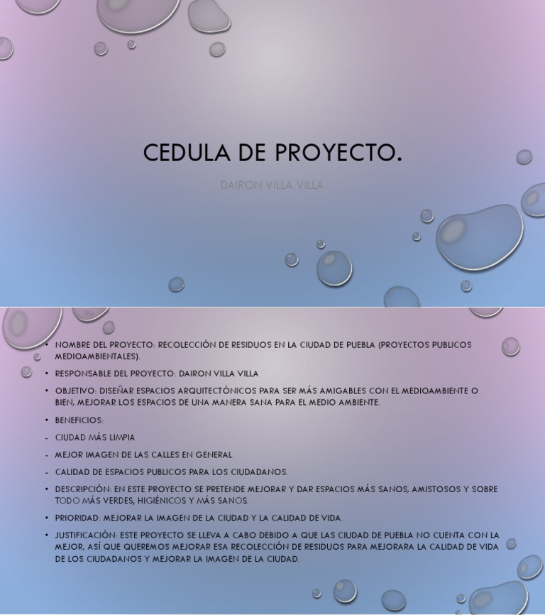 Cedula de Proyecto. | PDF