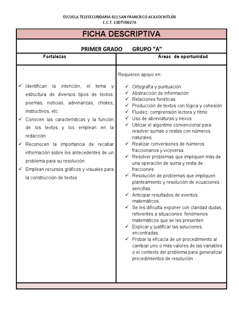 Ficha Descriptiva Grupal Primer Grado San Francisco | PDF