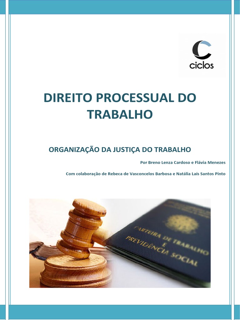 3 Organizacao Da Justica Do Trabalho 20 | PDF | Judiciários | Lei ...