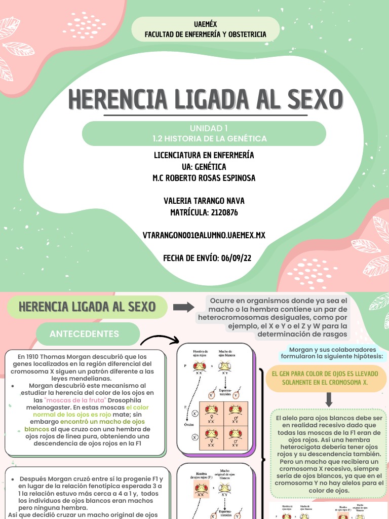 Herencia Ligada Al Sexo - VTN | PDF | Sexo | Dominancia (Genética)