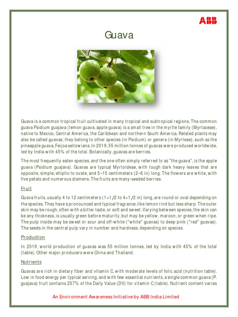 Vitamin C Rich Guava Fruit Nutrition & Health Benefits | PDF | Fruit ...