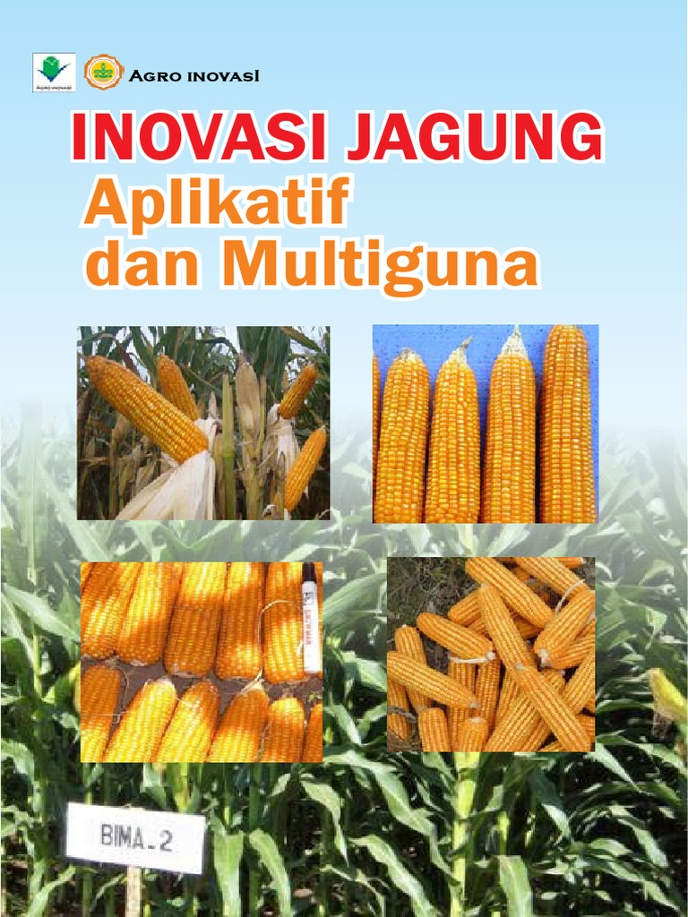 Ip Empatratus Jagung | PDF