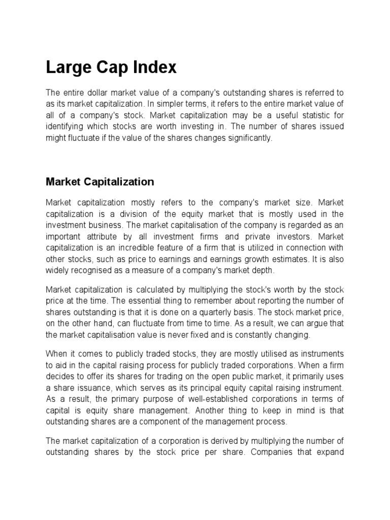 Large Cap Index | Download Free PDF | Stocks | Stock Market Index