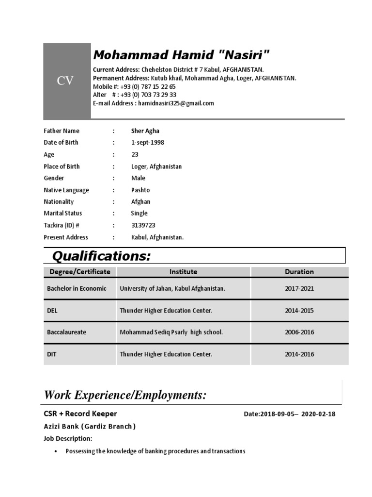 Hamid Nasiri CV 2022 | PDF | Fluency | Salary