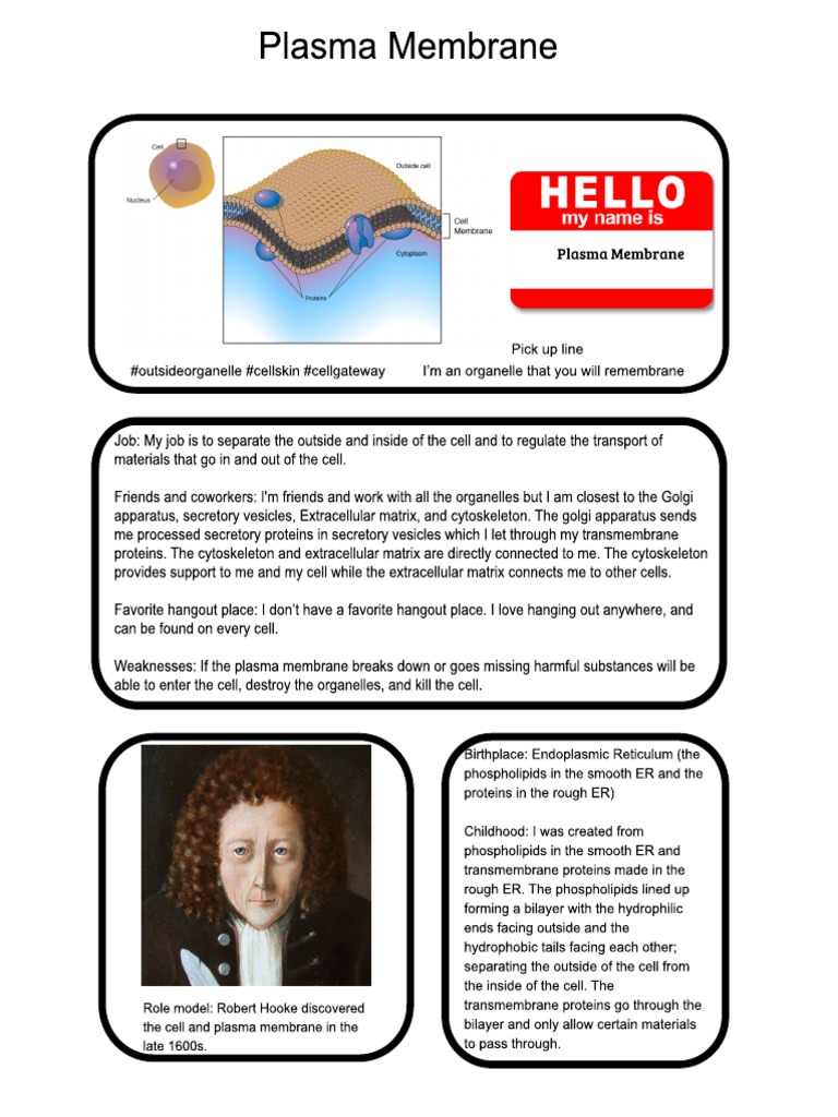 Organelle Speed Dating Profile Plasma Membrane | PDF