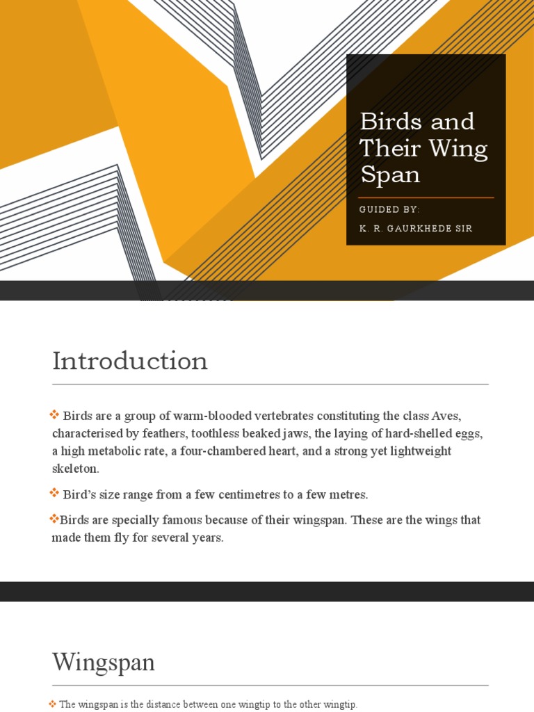 Birds and Their Wingspan Explained | PDF