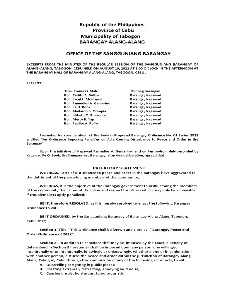 Ordiance On Peace and Order | PDF | Public Sphere | Common Law