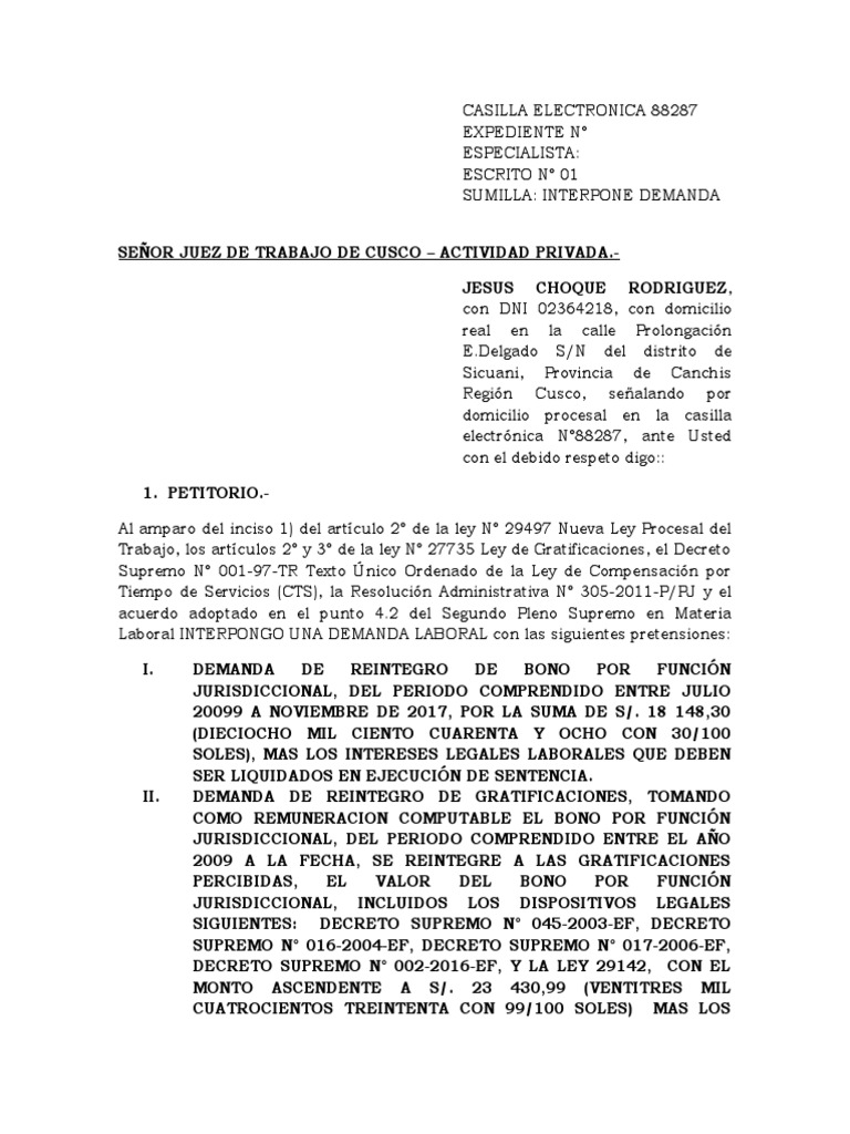 Demanda JESUS CHOQUE | PDF