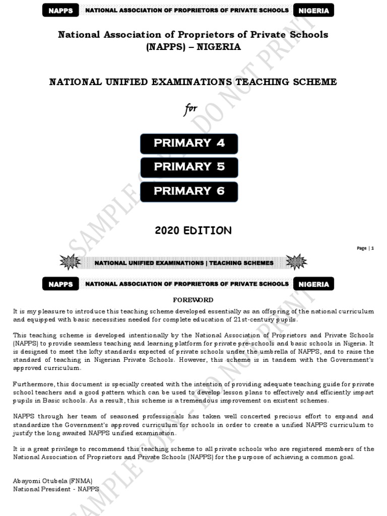 Primary 4-5-6 Sample Napps Scheme | PDF | Stress (Linguistics) | Noun