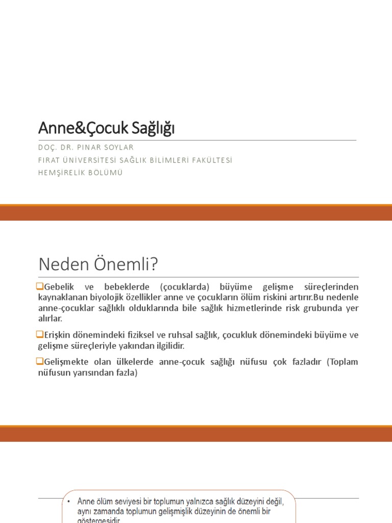 Anne Cocuk Sagligi | PDF