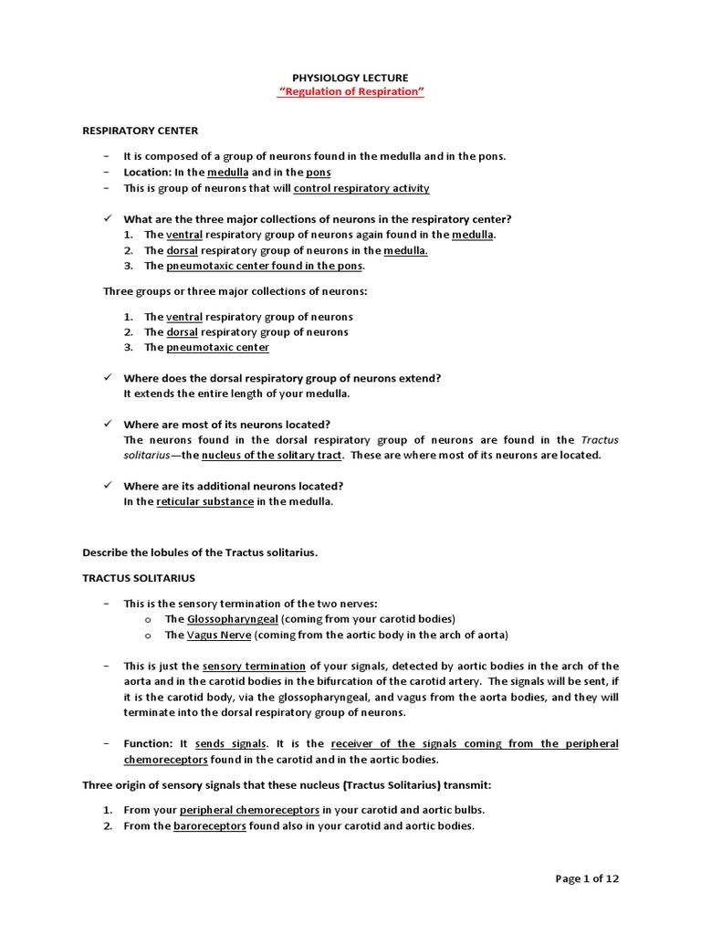 Physiology-Regulation of Respiration | PDF