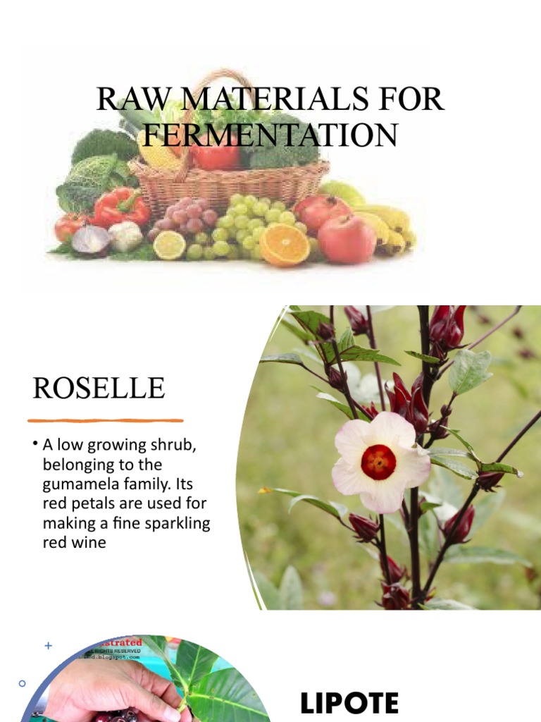 Raw Materials in Fermentation | PDF | Foods | Fruit