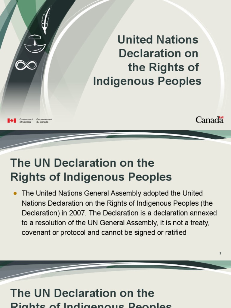 UNDA Deck Declaration en | PDF