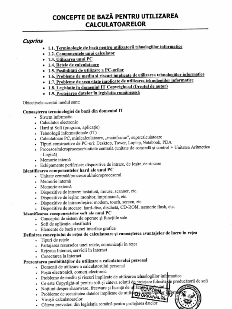 Suport Curs Competente Informatice | PDF