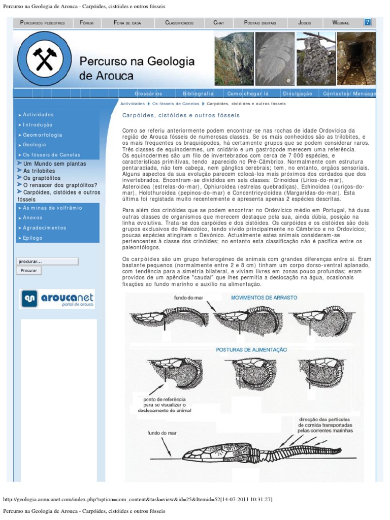 Percurso Na Geologia de Arouca - Carpóides, Cistóides e Outros Fósseis ...