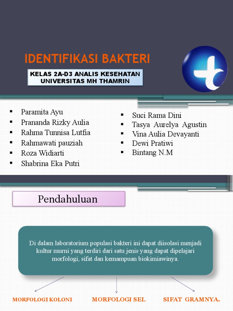 Teknik Isolasi dan Uji Bakteri | PDF