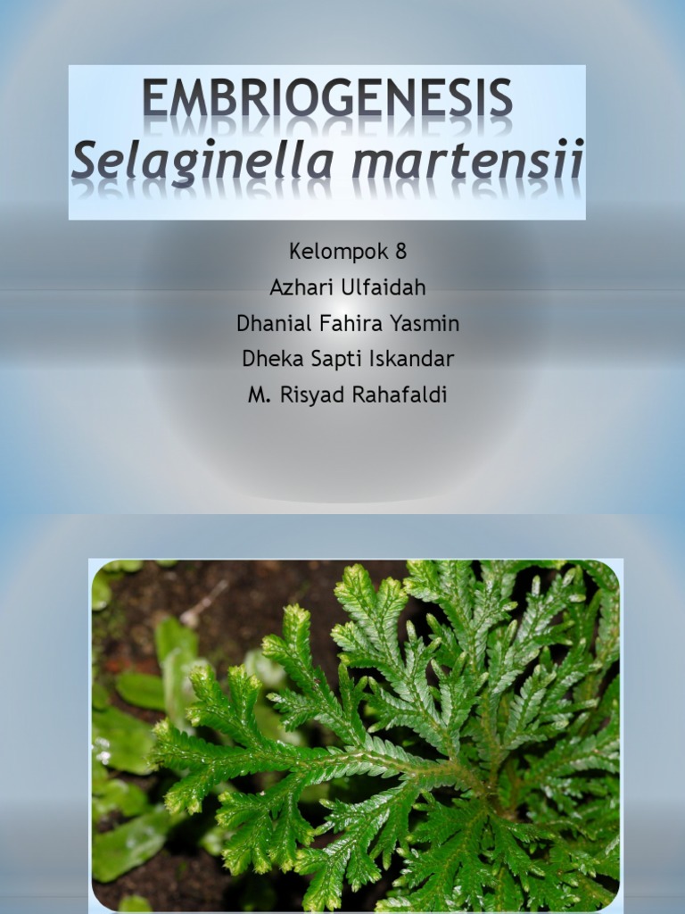 EMBRIOGENESIS | PDF | Griya & Taman | Kesehatan Holistik