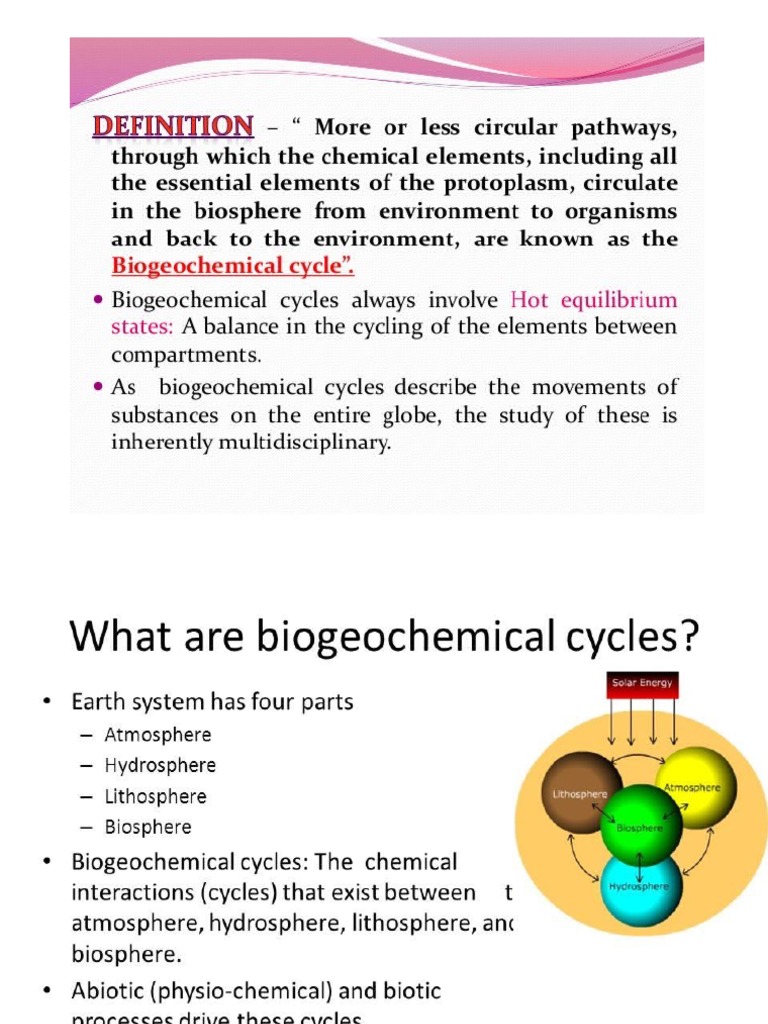 Biogeochemical Cycles (Nitogen) | PDF | Carbon Dioxide | Chemistry