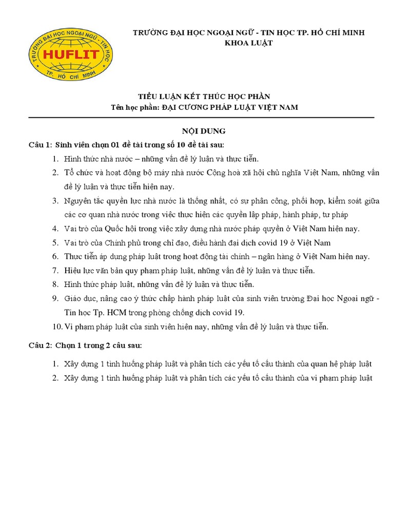 Tieu Luan Cuoi Ky (DCPLVN) | PDF