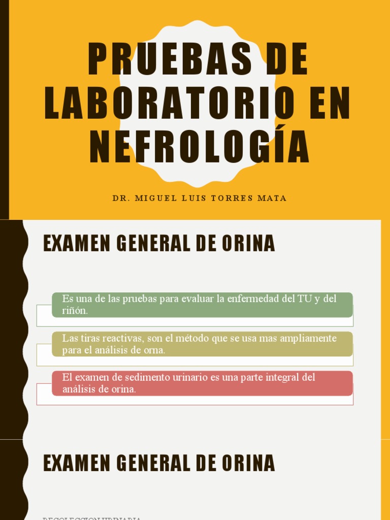 Pruebas de Laboratorio en Nefrología | PDF | Enfermedad renal crónica ...