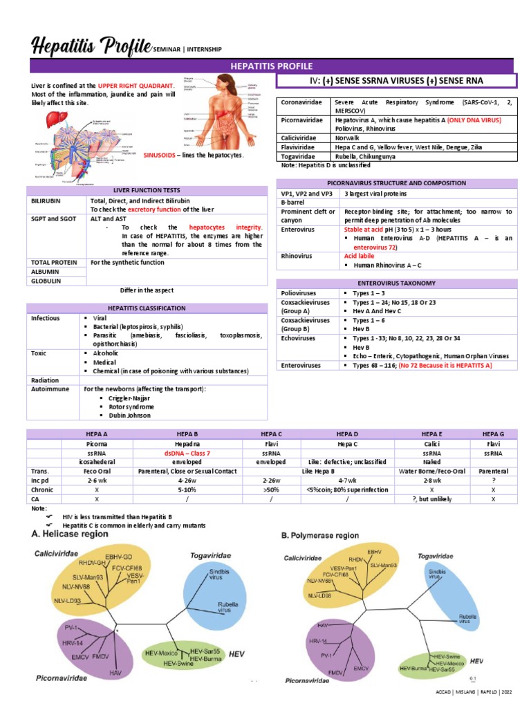 SEMINAR 4 Hepatitis Profile | PDF